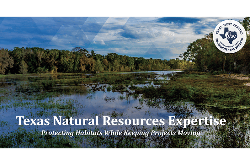 Managing Aquatic Resources and Sensitive Habitats in Texas Development